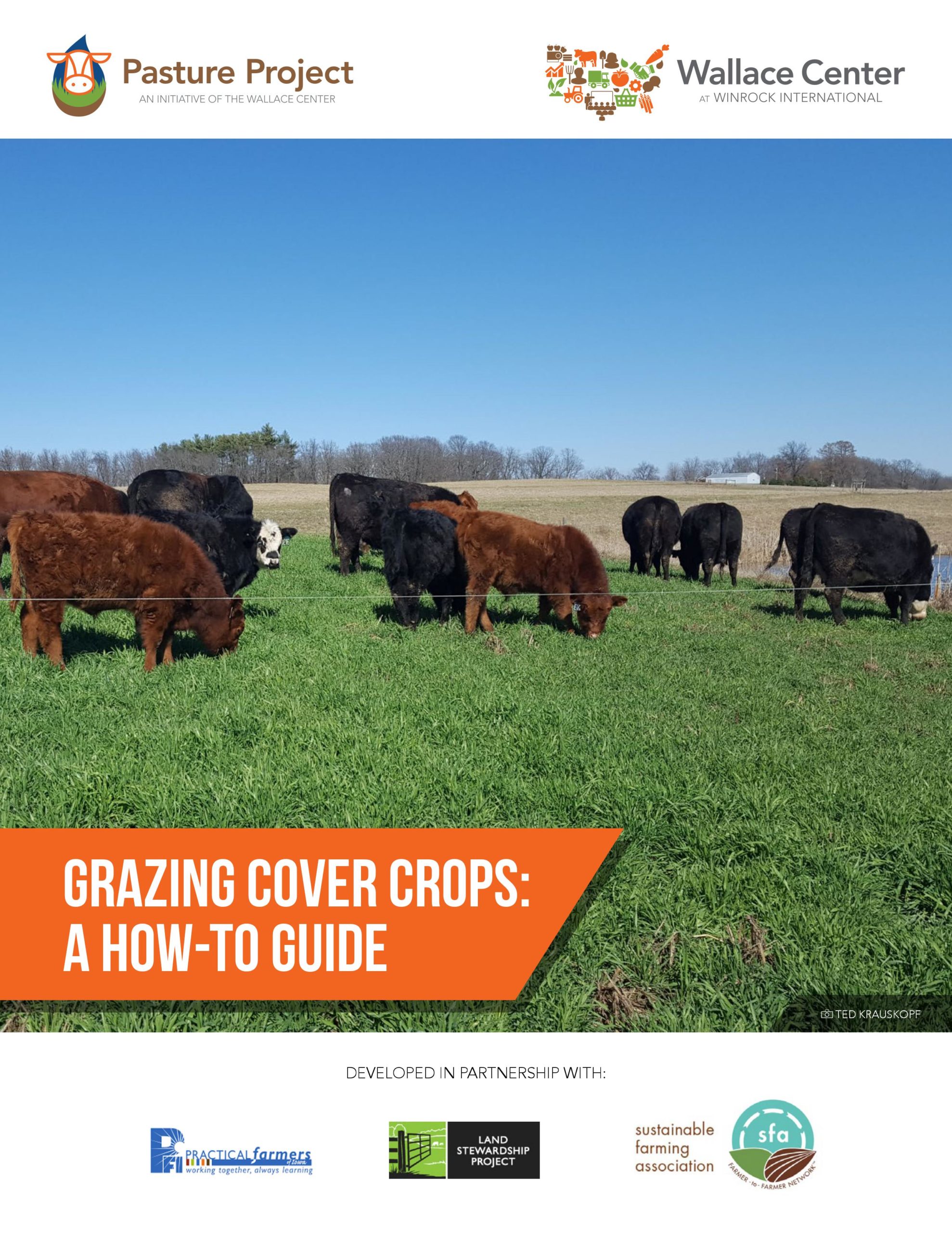 Pasture Project : Grazing Cover Crops How-To Guide
