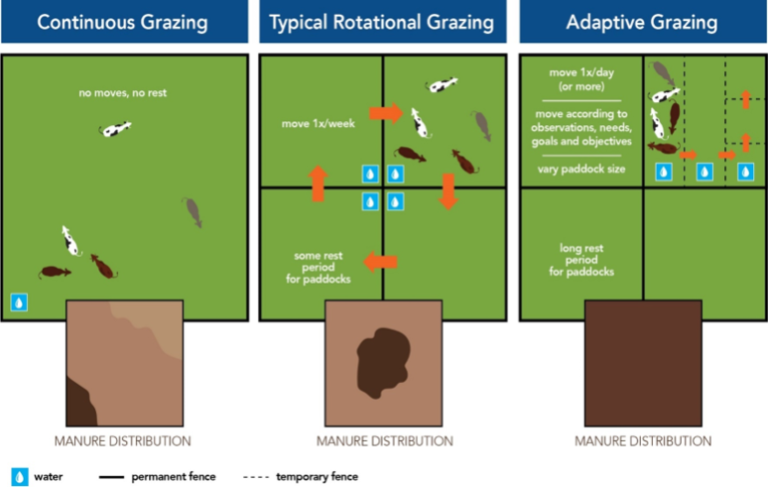 Pasture Project : Grazing Continuum Diagrams